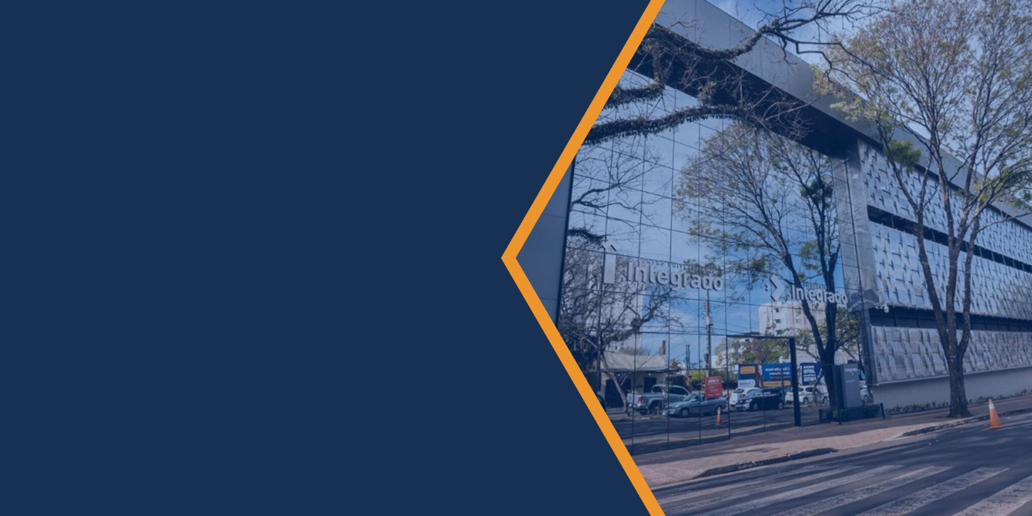 Áreas da Psicologia: o que são e como escolher a sua!